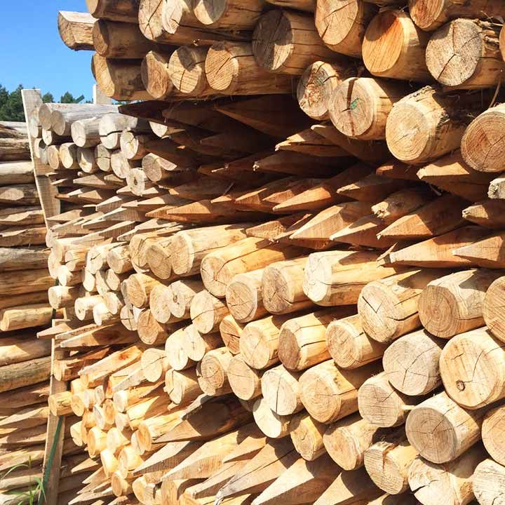 Shop - holzhofrheinsberg.com